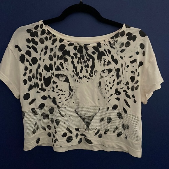 Express | Tops | Express Leopard Print Crop Top With Mesh | Poshmark
